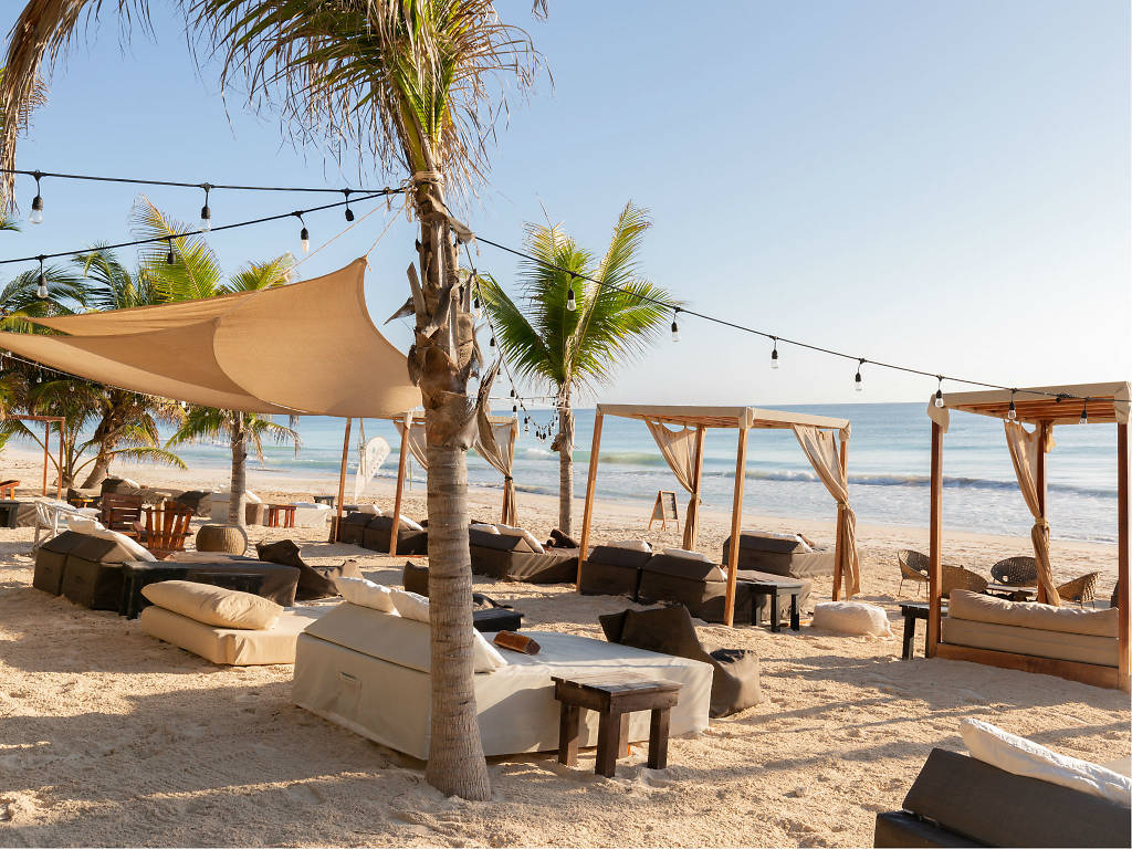 Los Amigos Tulum nos enseñan a vacacionar sin dañar el ambiente