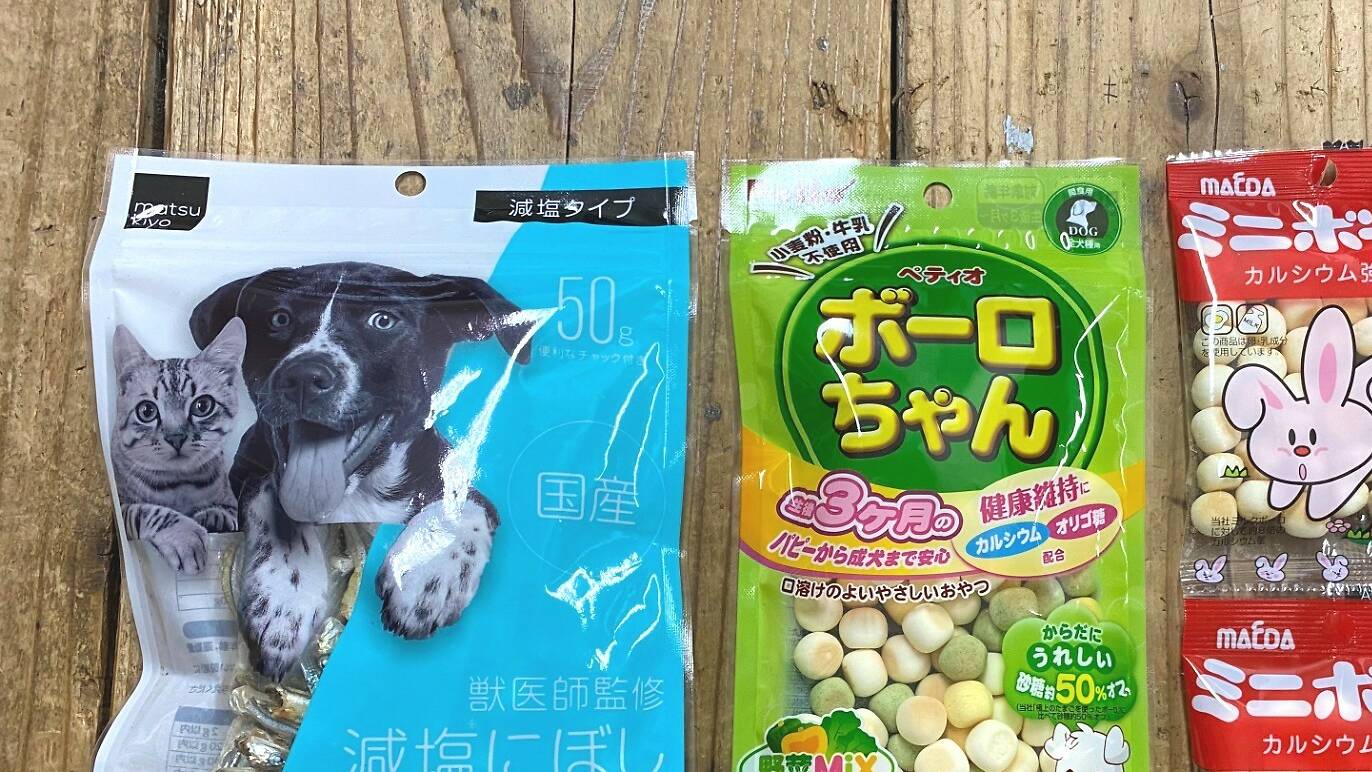 These are the cutest and weirdest Japanese pet products | Time Out Tokyo