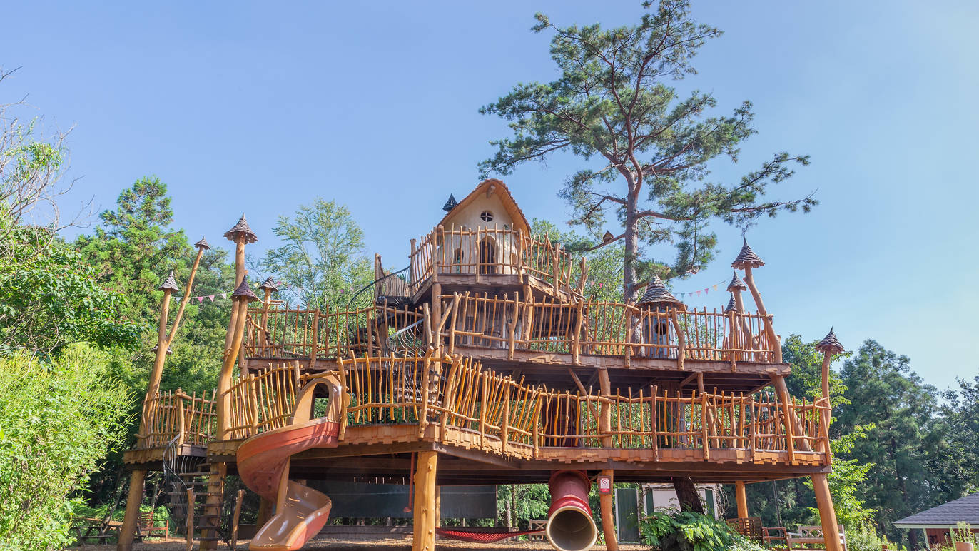 8 best nature escapes in and around Tokyo