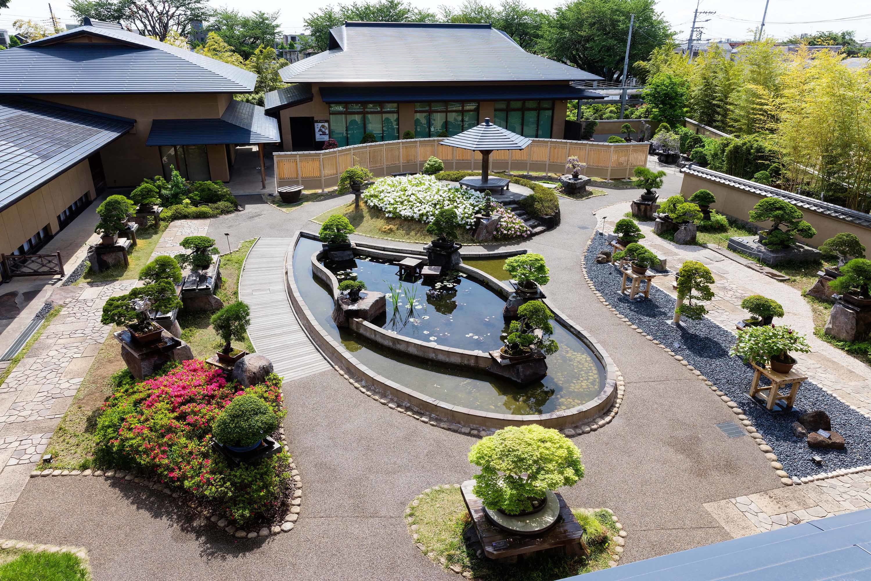 The Omiya Bonsai Art Museum | Things to do in Omiya, Tokyo