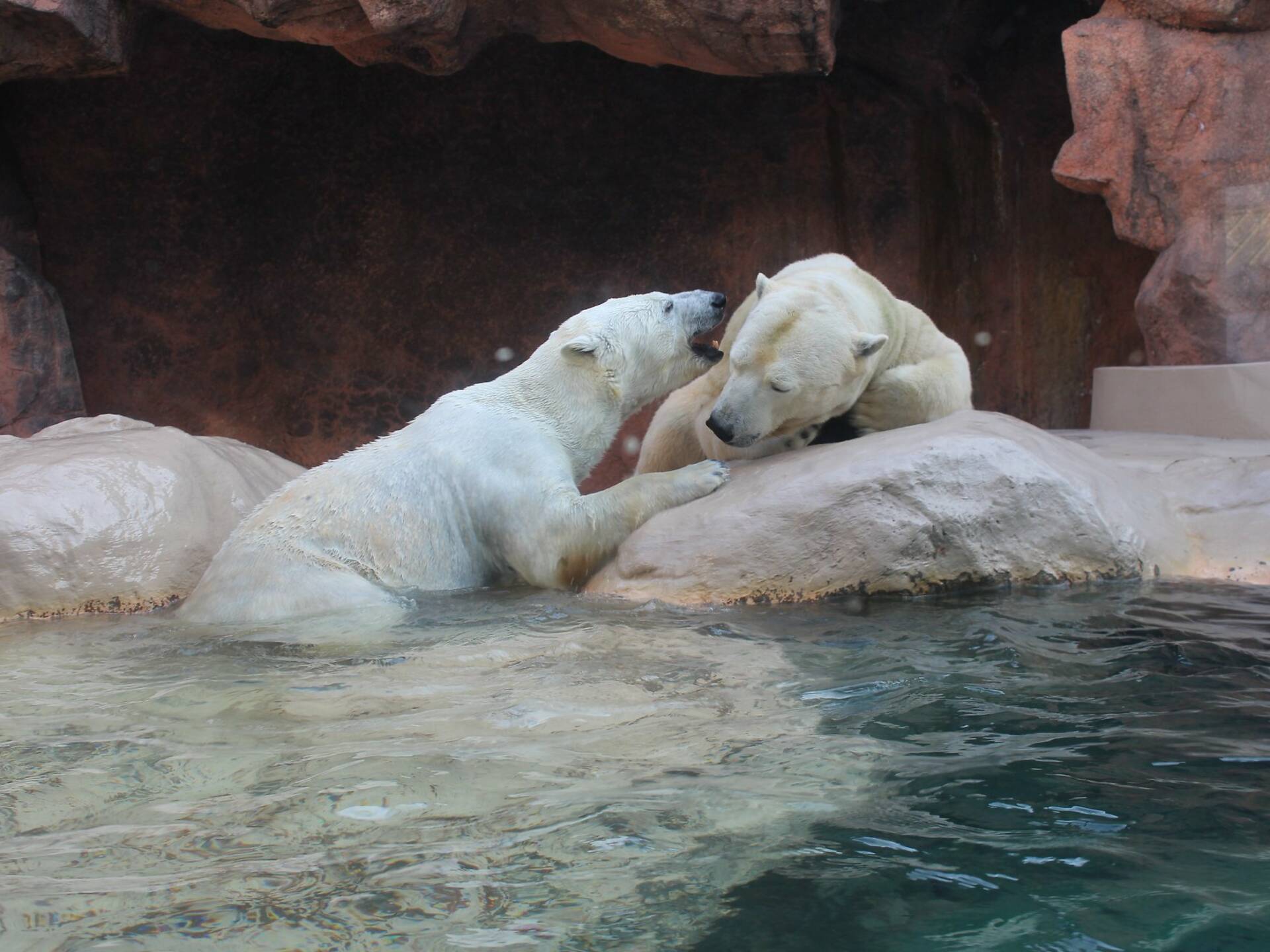 Get to know Japan’s strange yet adorable mascots | Time Out Tokyo