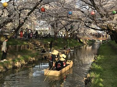 The most beautiful spring flowers in Tokyo – and where to see them