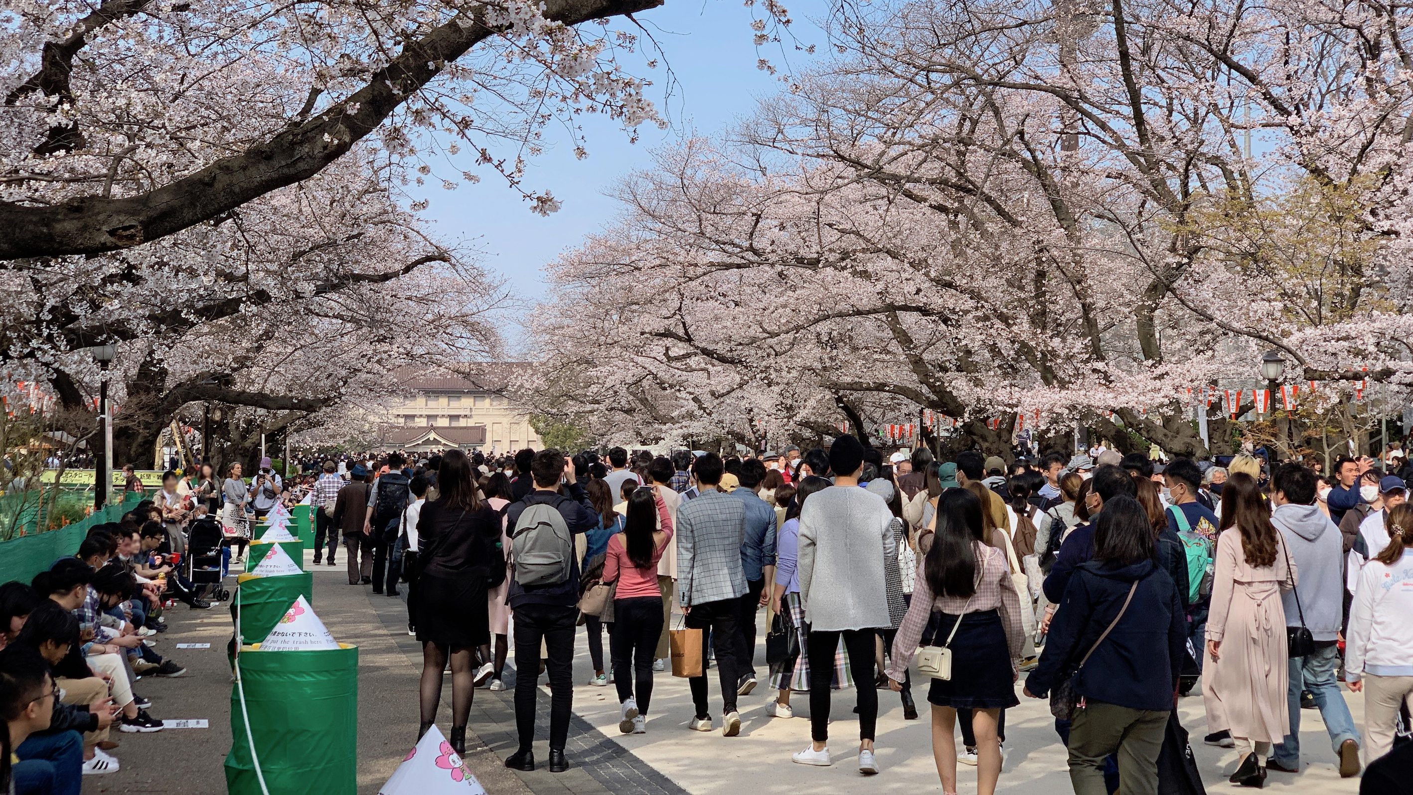 Tokyo governor Yuriko Koike warns of possible lockdown if Covid-19 ...