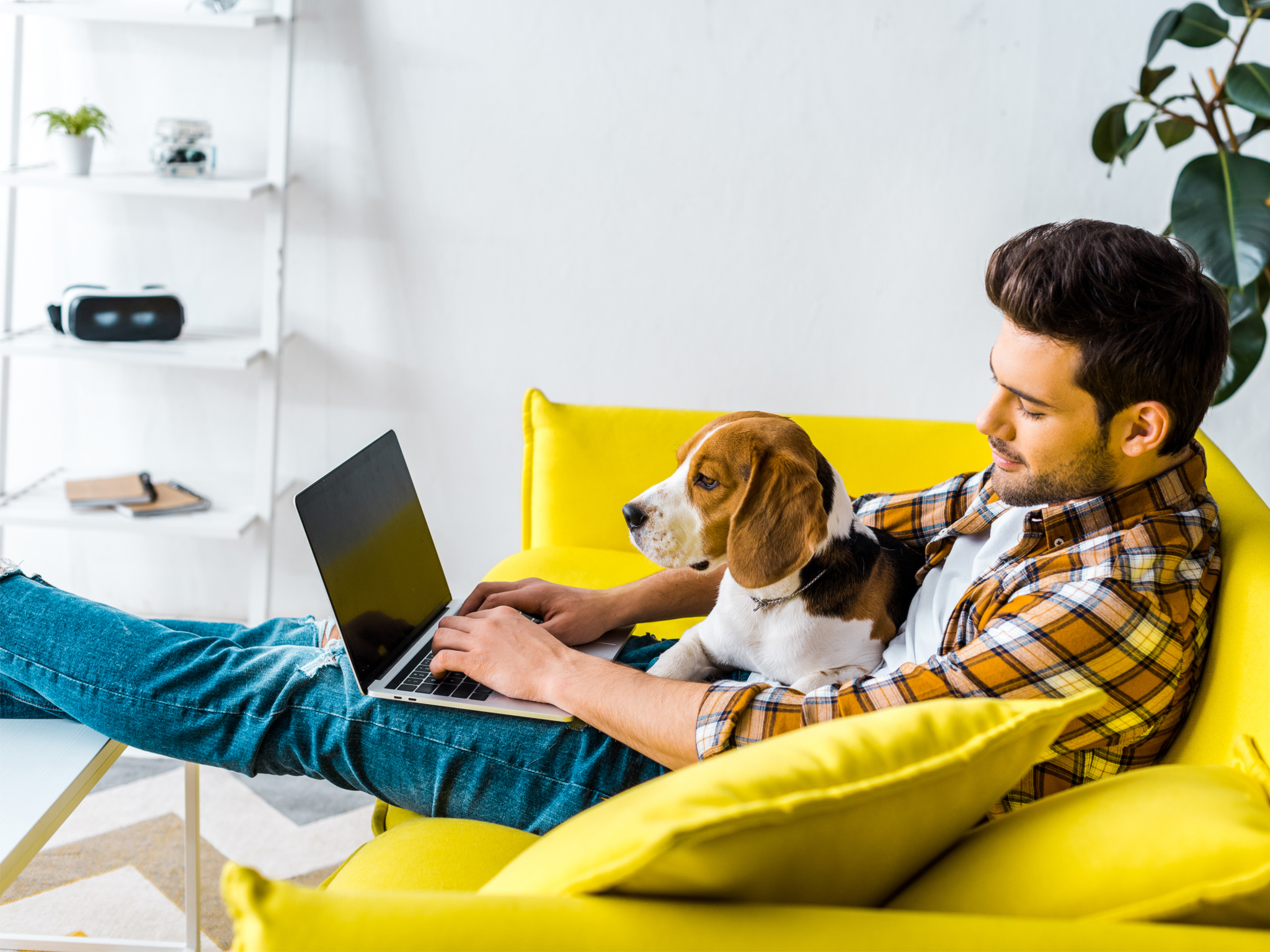 8 cosas que necesitas para sobrevivir al home office