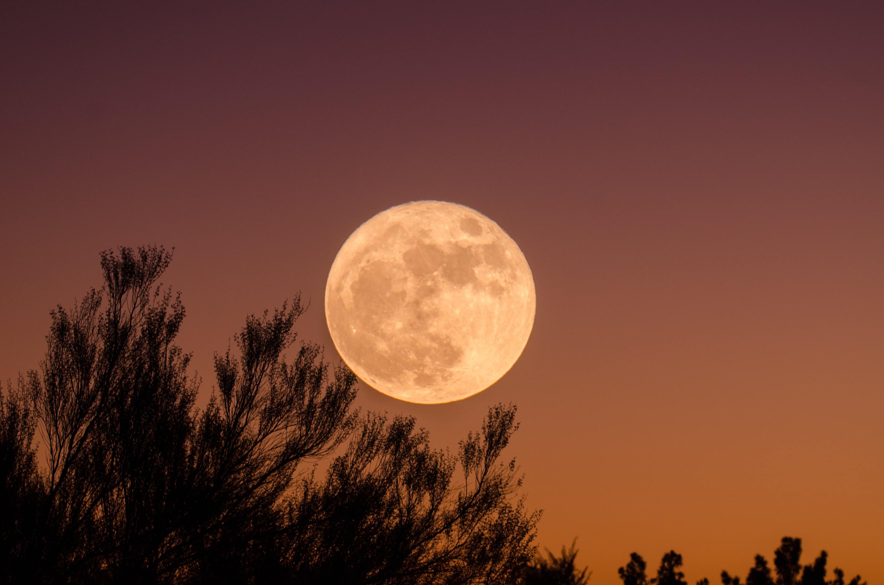 2020s Largest Pink Supermoon To Debut Across Croatias Skies Tonight
