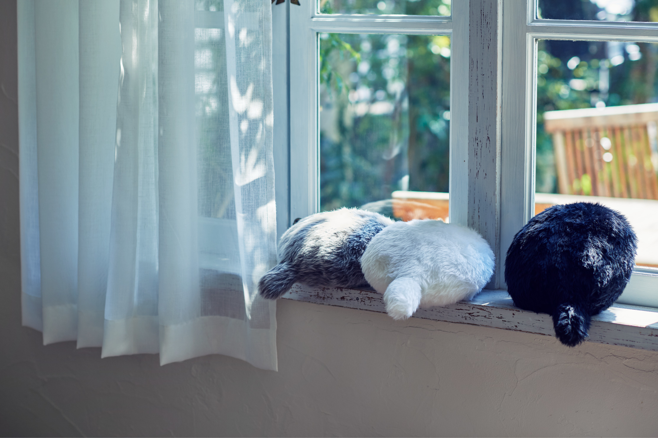 Meet Japan's robot pets and companions | Time Out Tokyo