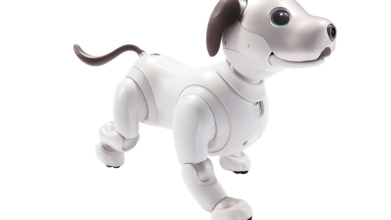 Meet Japan's robot pets and companions | Time Out Tokyo