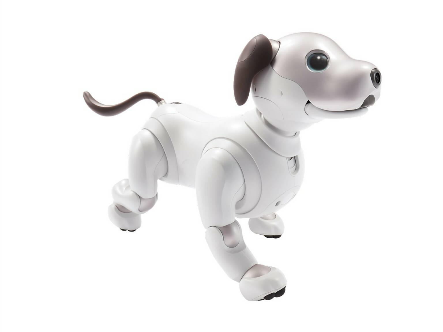 Meet Japan's robot pets and companions | Time Out Tokyo