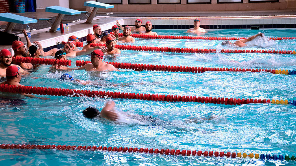 Osos al agua, el grupo de natación gay en la Ciudad de México