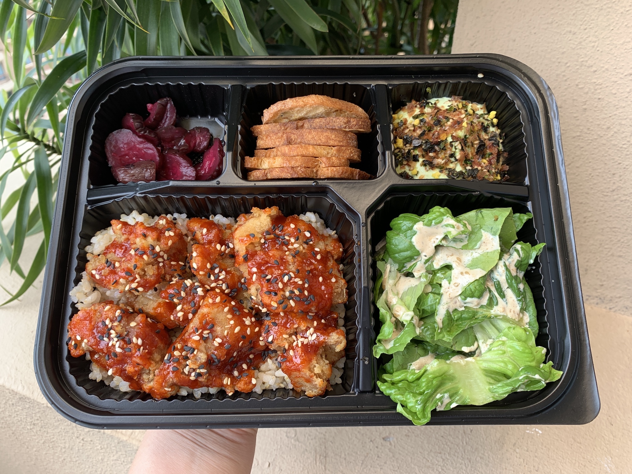 Da bao diaries: bento boxes made better by Neon Pigeon
