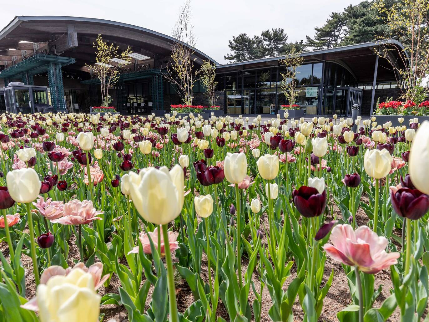 31 Best Things To Do in Spring in NYC