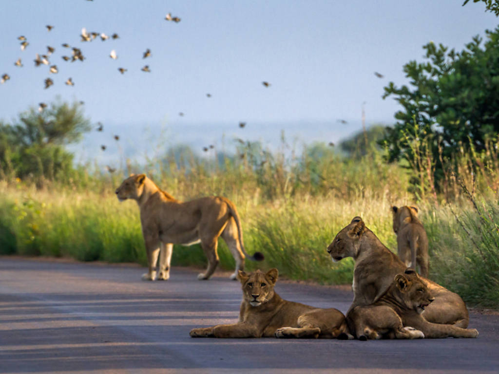 15 Best National Parks in the World