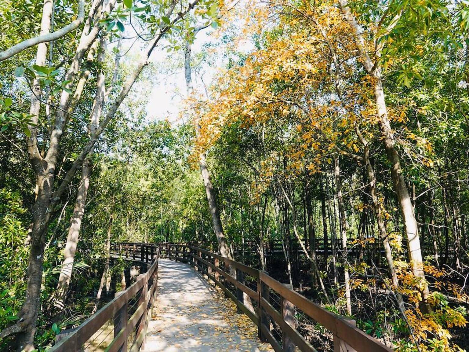 16 Short Hikes In Singapore You Can Complete in 30 Minutes