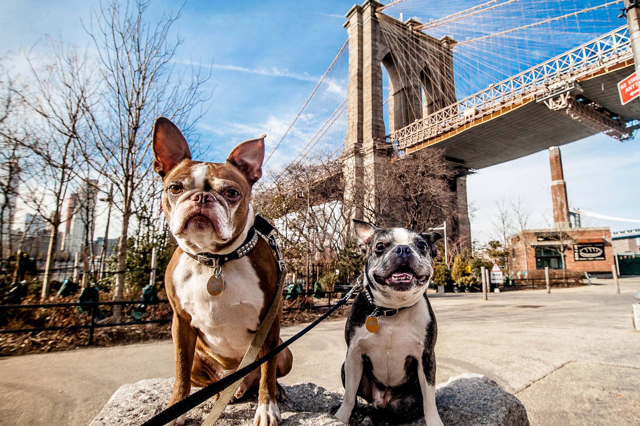 9 things you should know about the CDC's new social distancing ...