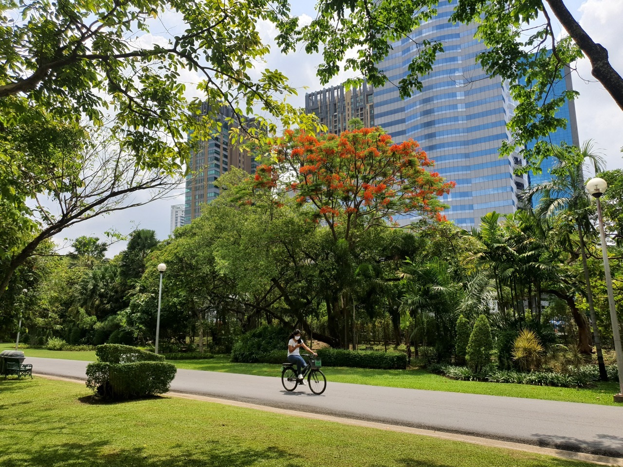 In pictures: Chatuchak Park on the first day of the reopening