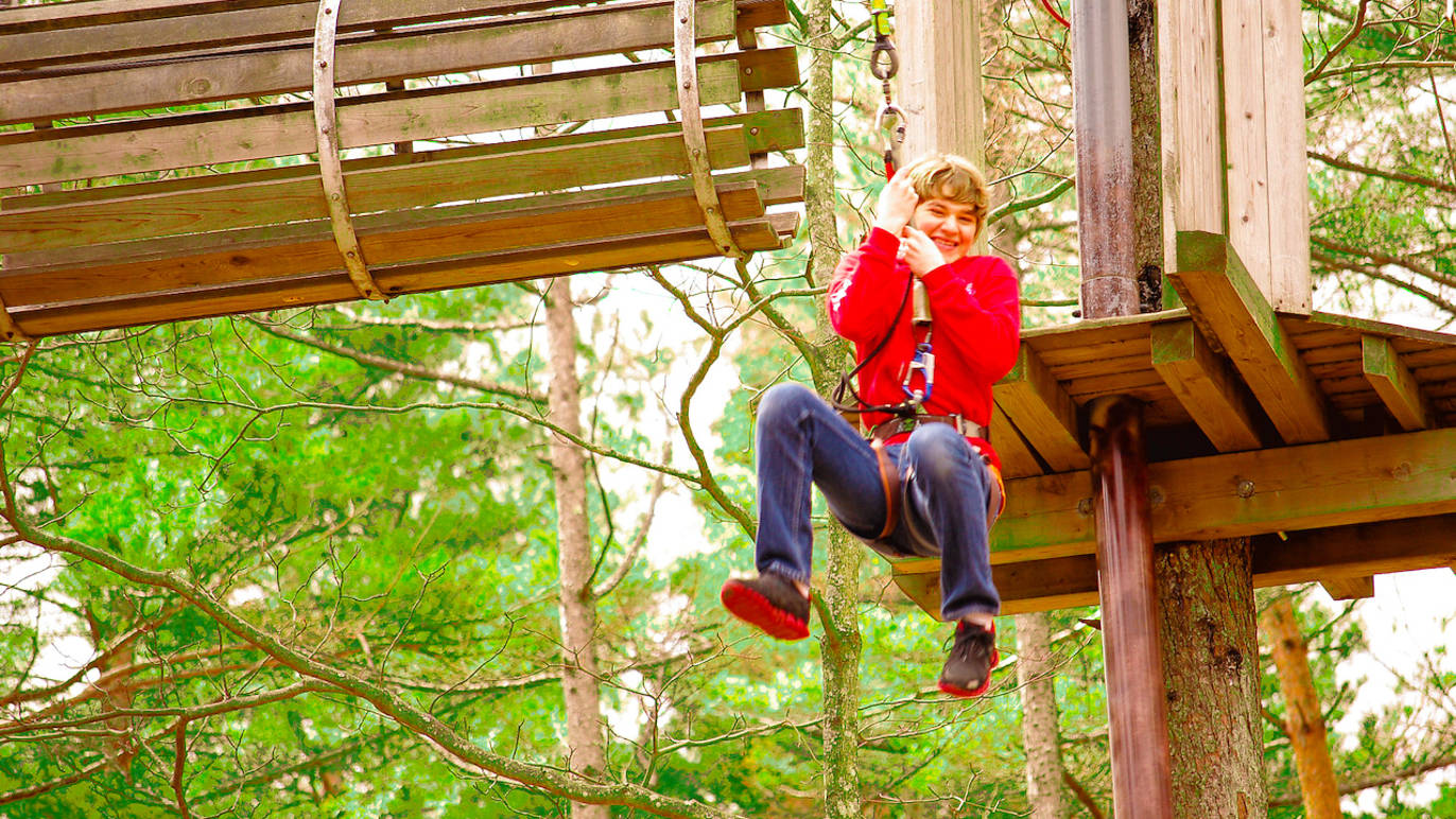 Forest Adventure Yokohama | Attractions in Yokohama, Tokyo