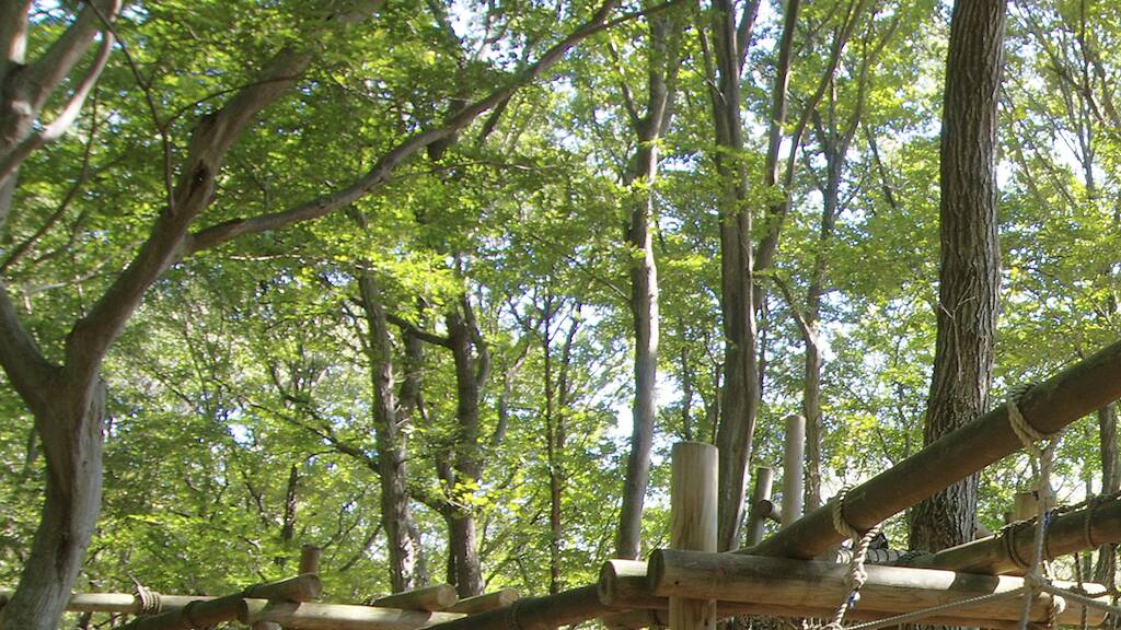 Funabashi Andersen Park | Attractions in Chiba, Tokyo