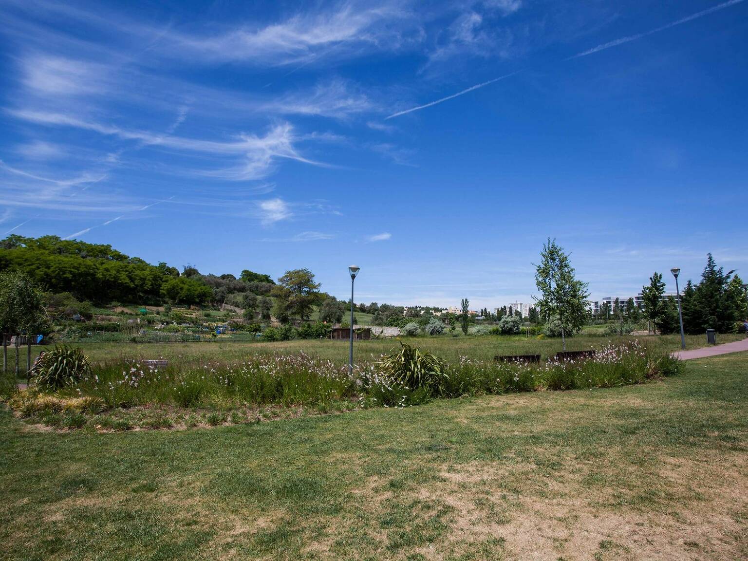 Da Estrela a Monsanto: 21 parques e jardins de Lisboa