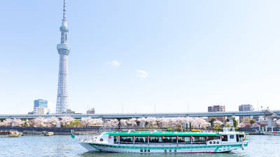 Tokyo on water: best cruises, boat rides and water sports in Tokyo