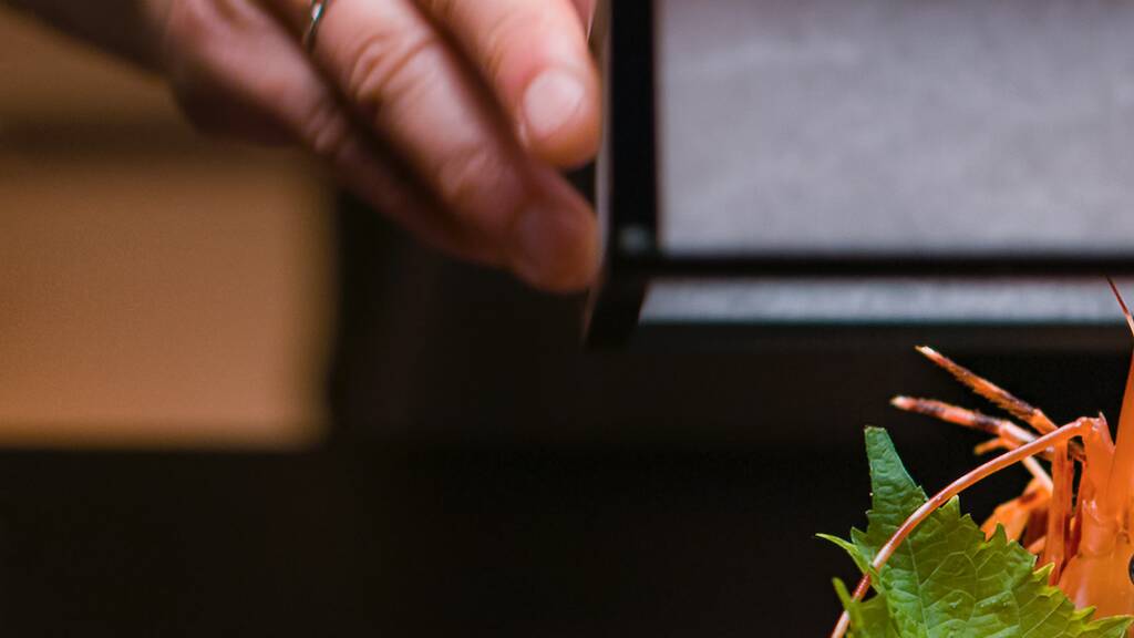 The best documentaries about Japanese food | Time Out Tokyo