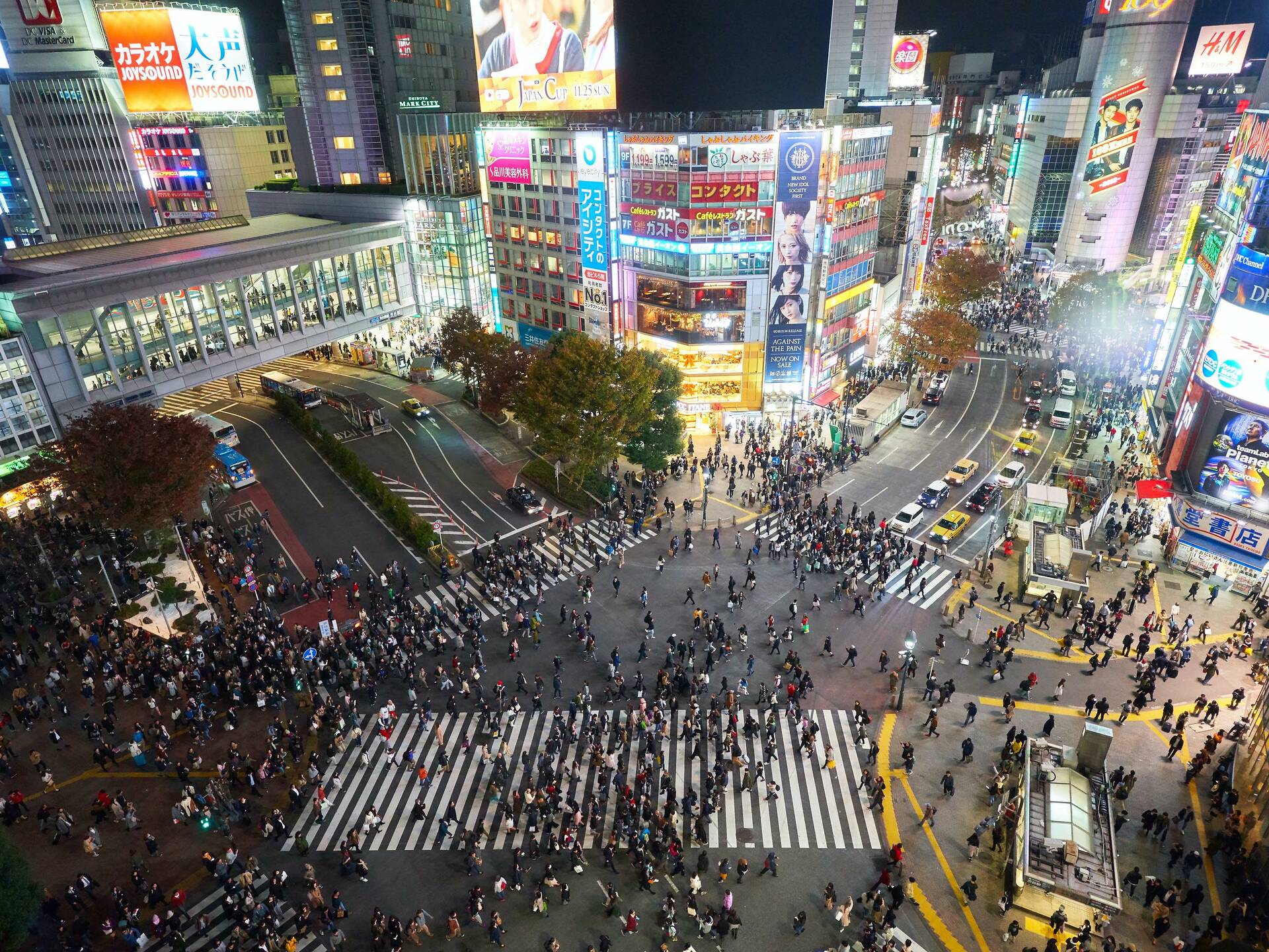 11 quotes that sum up Tokyo and Japan perfectly | Time Out Tokyo