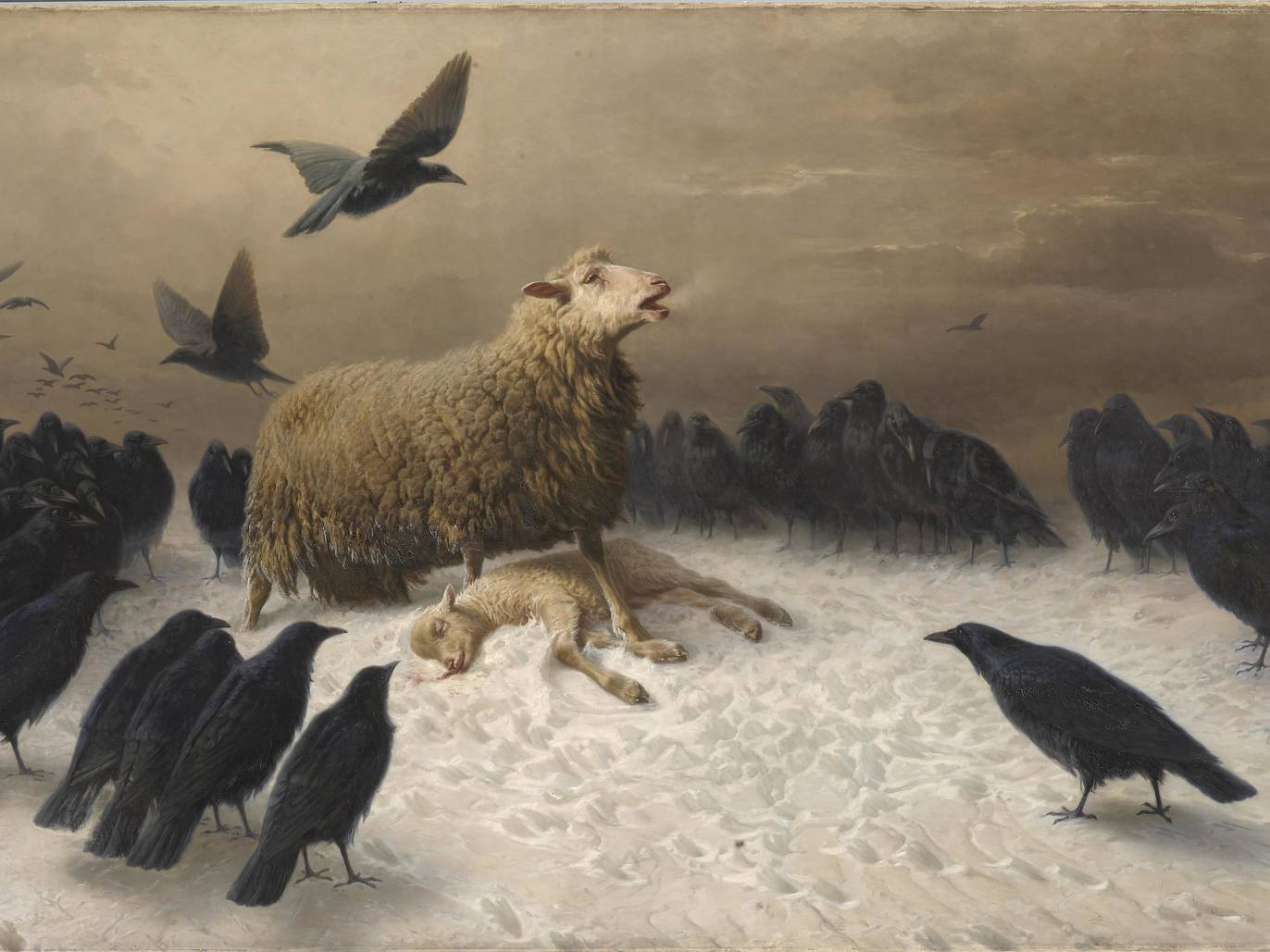 The story behind 'Anguish' – the NGV's "sad sheep painting"