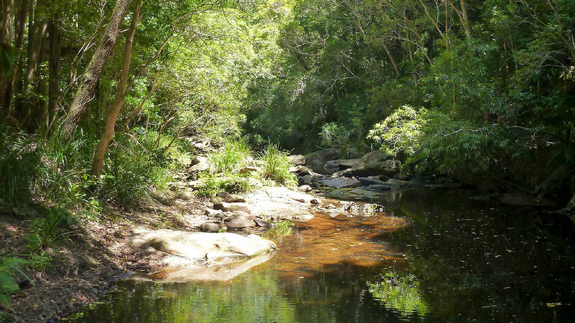 Royal National Park Sydney: Best Things To Do