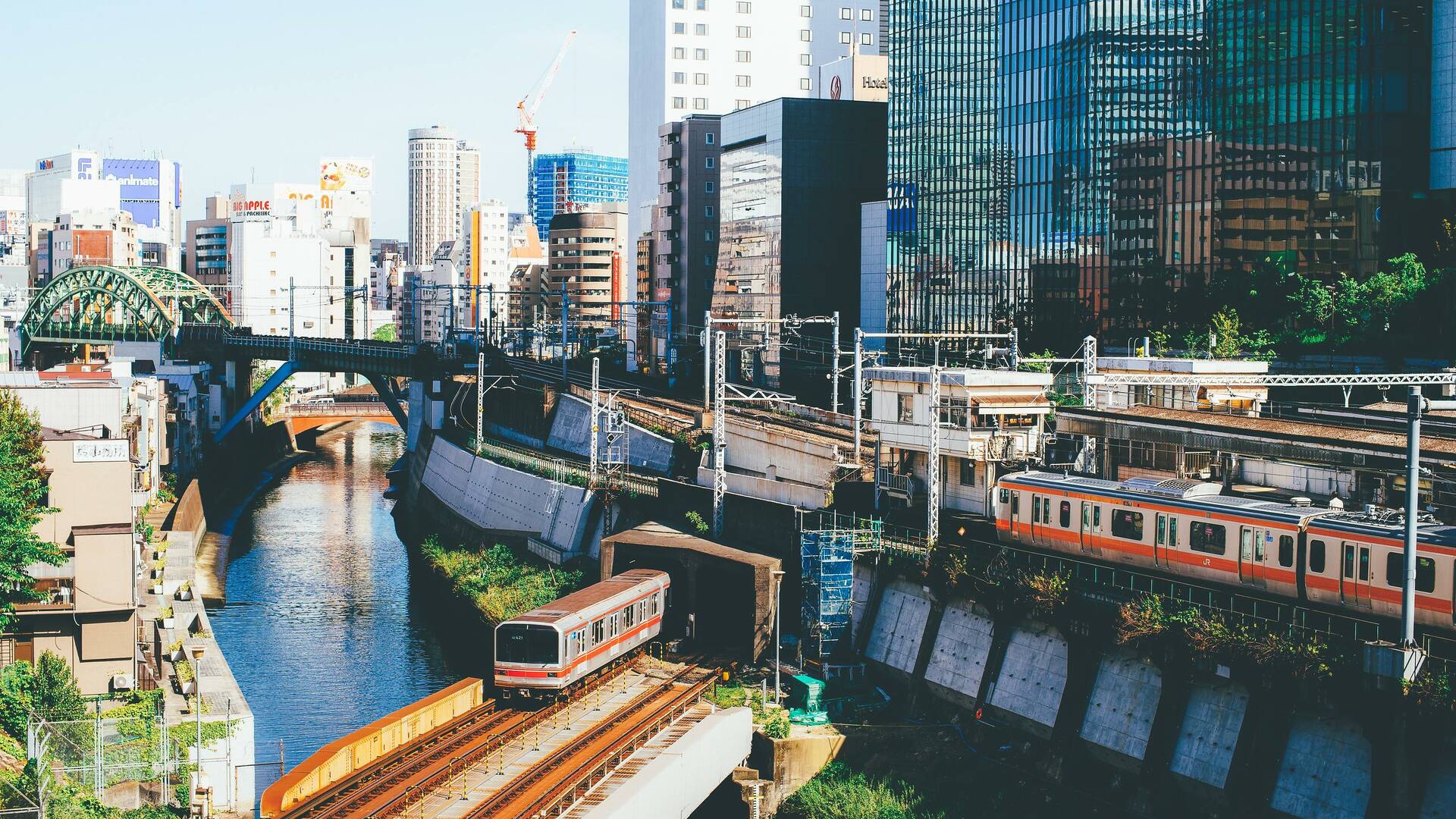 11 quotes that sum up Tokyo and Japan perfectly | Time Out Tokyo