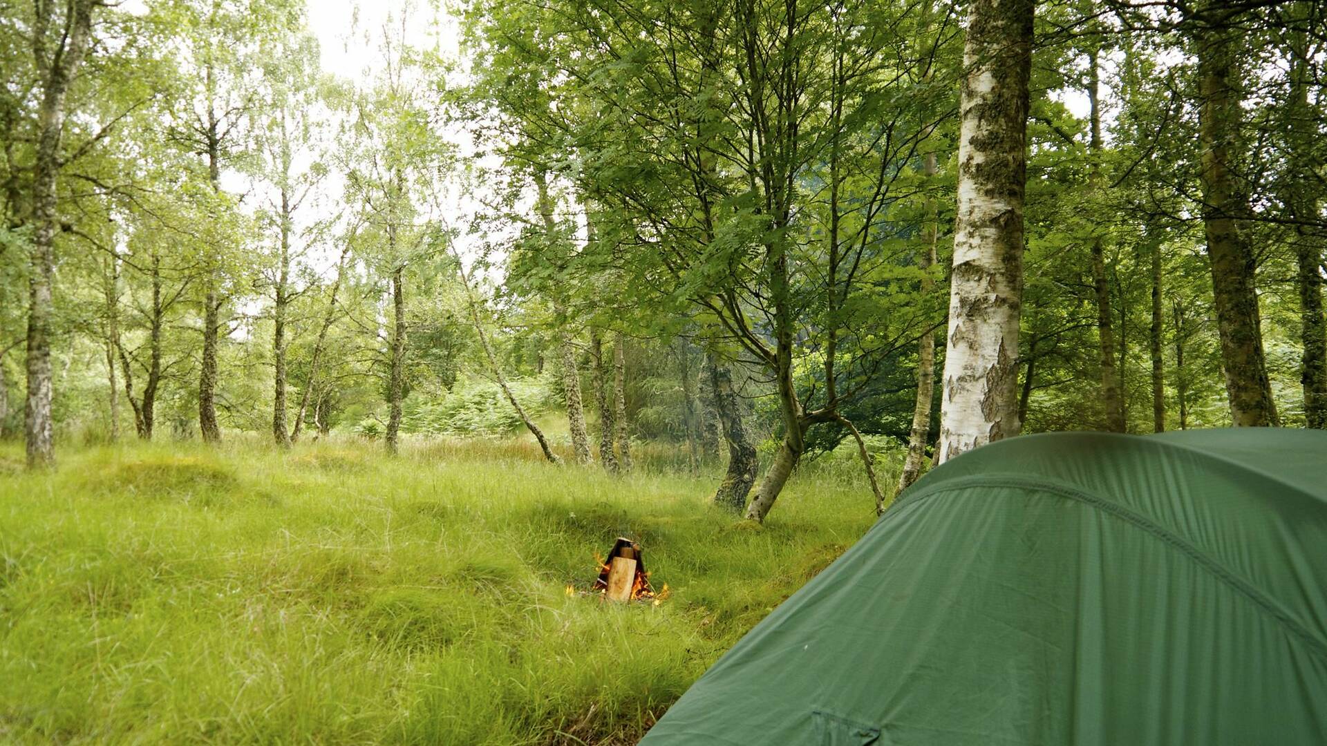 11 Campervan-Friendly Campsites in the UK: Top Campervan Sites