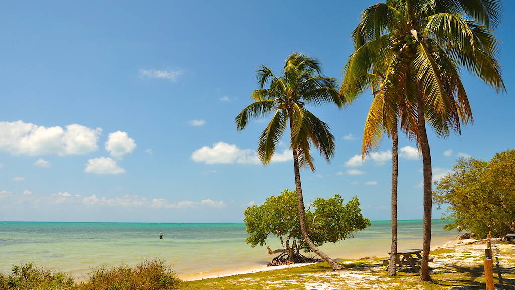 9 best places to go camping in and around Miami