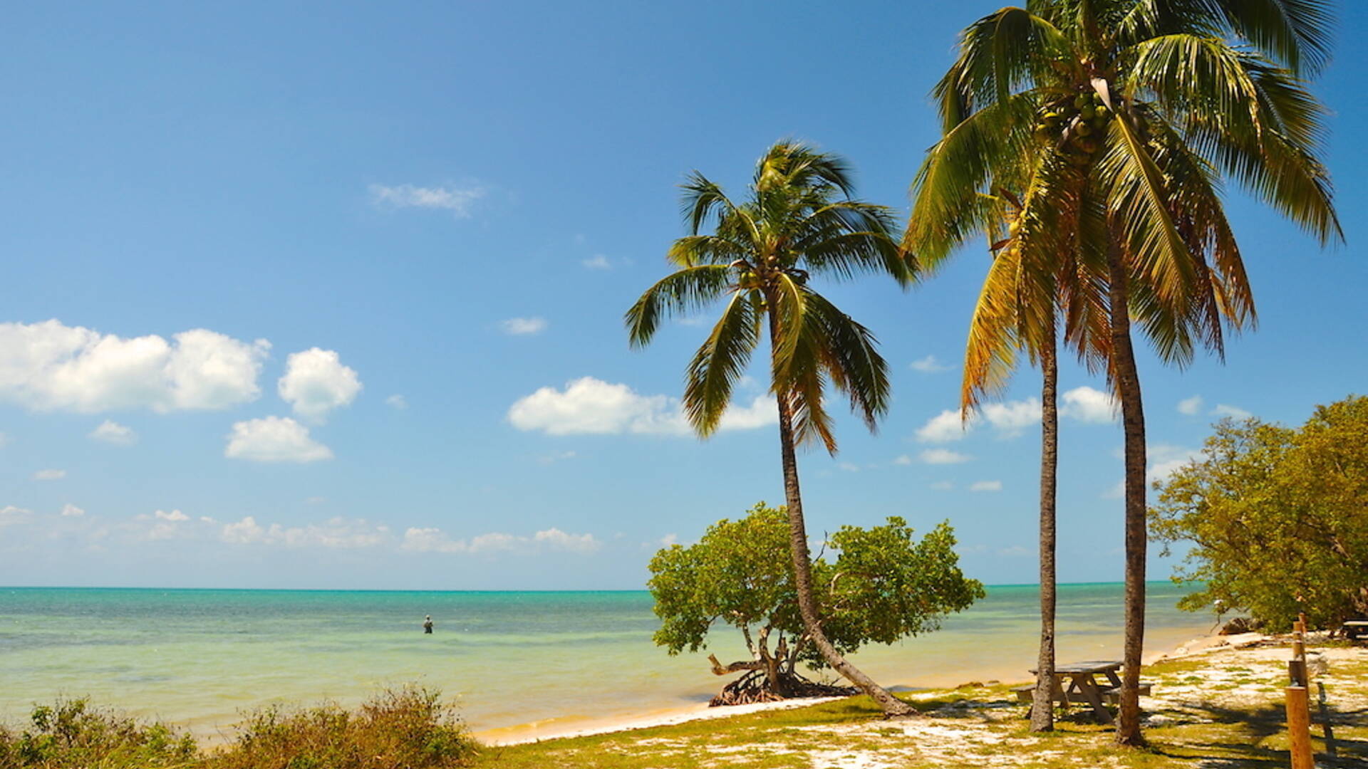 9 best places to go camping in and around Miami