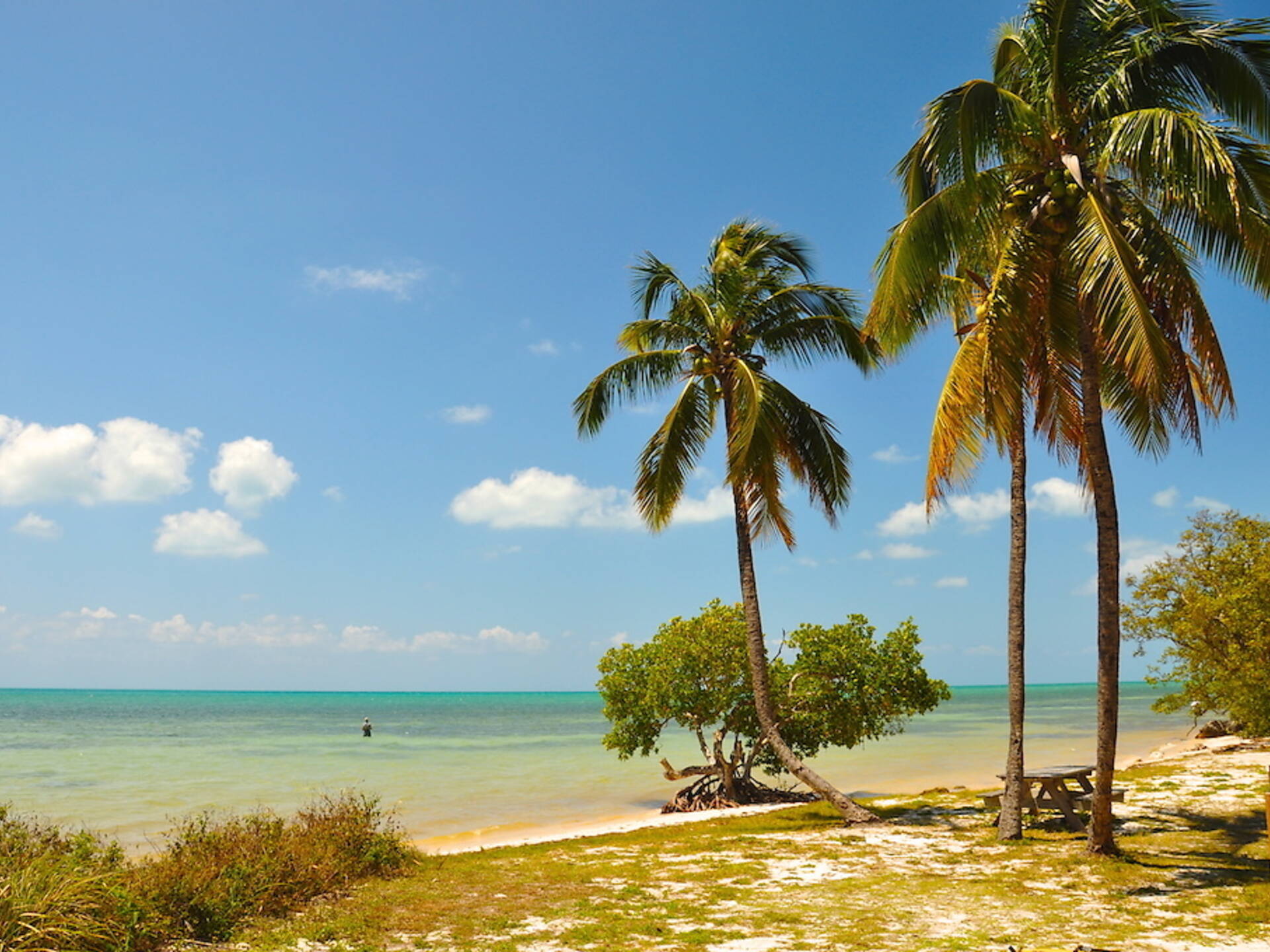 9 best places to go camping in and around Miami