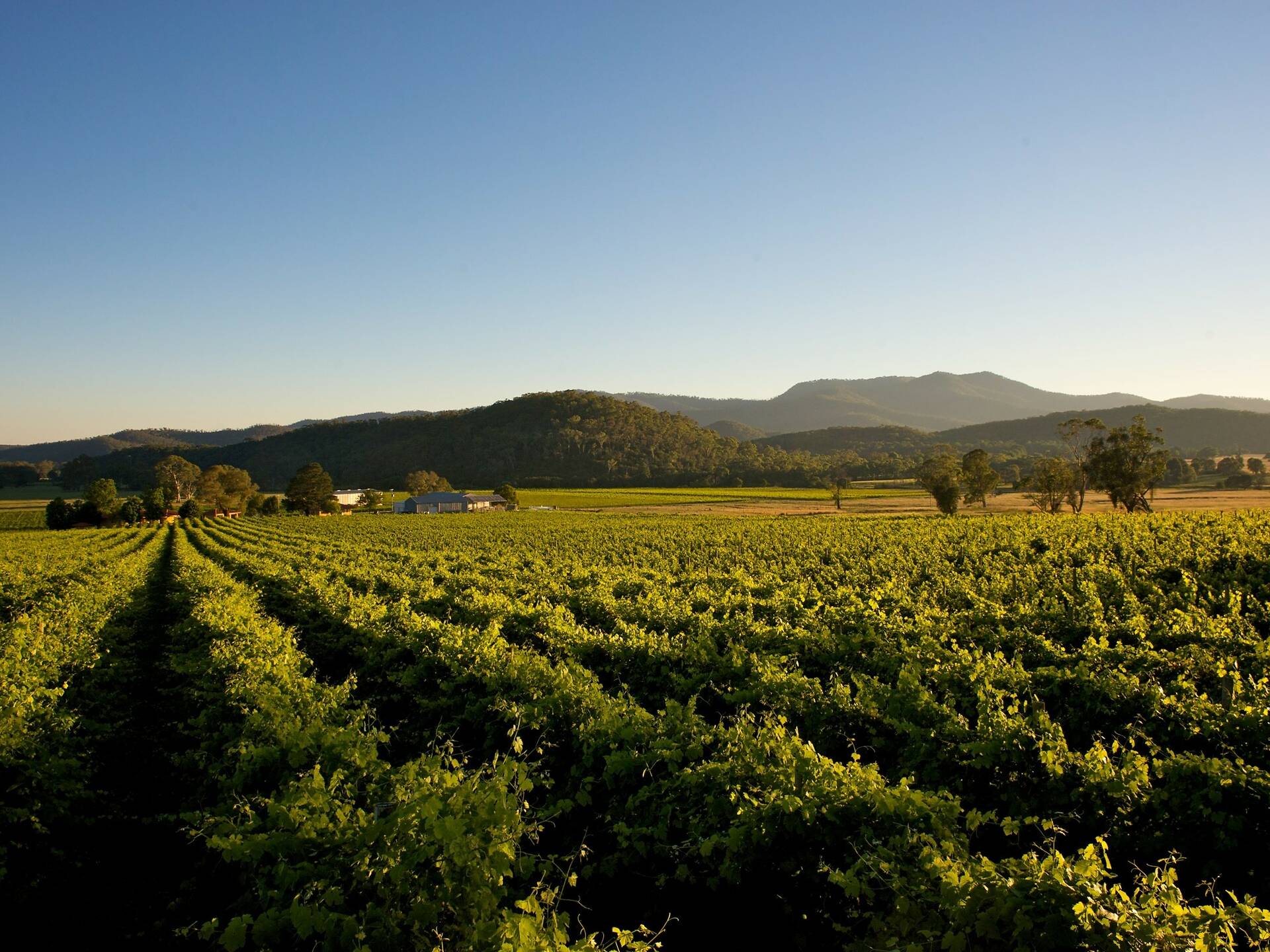 Underrated holiday destinations to visit in Victoria