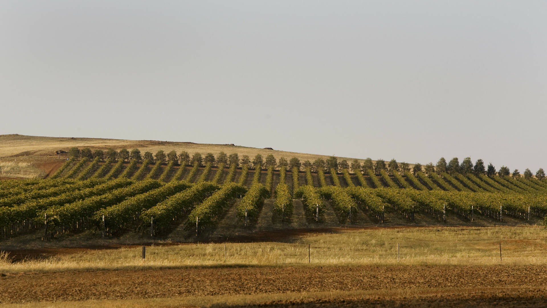 Underrated holiday destinations to visit in Victoria