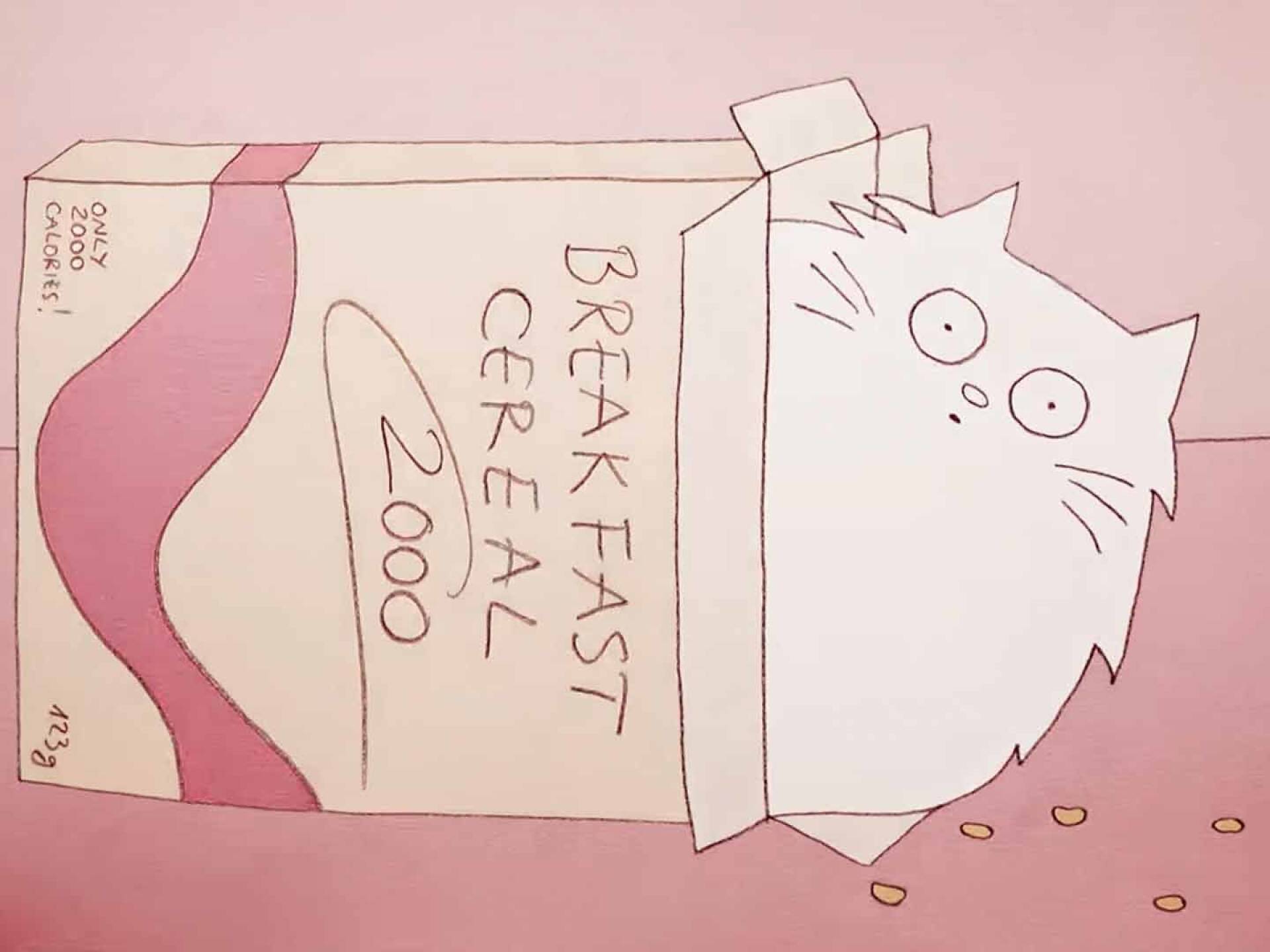 15 Best Educational Shows That Kids Can Watch Now