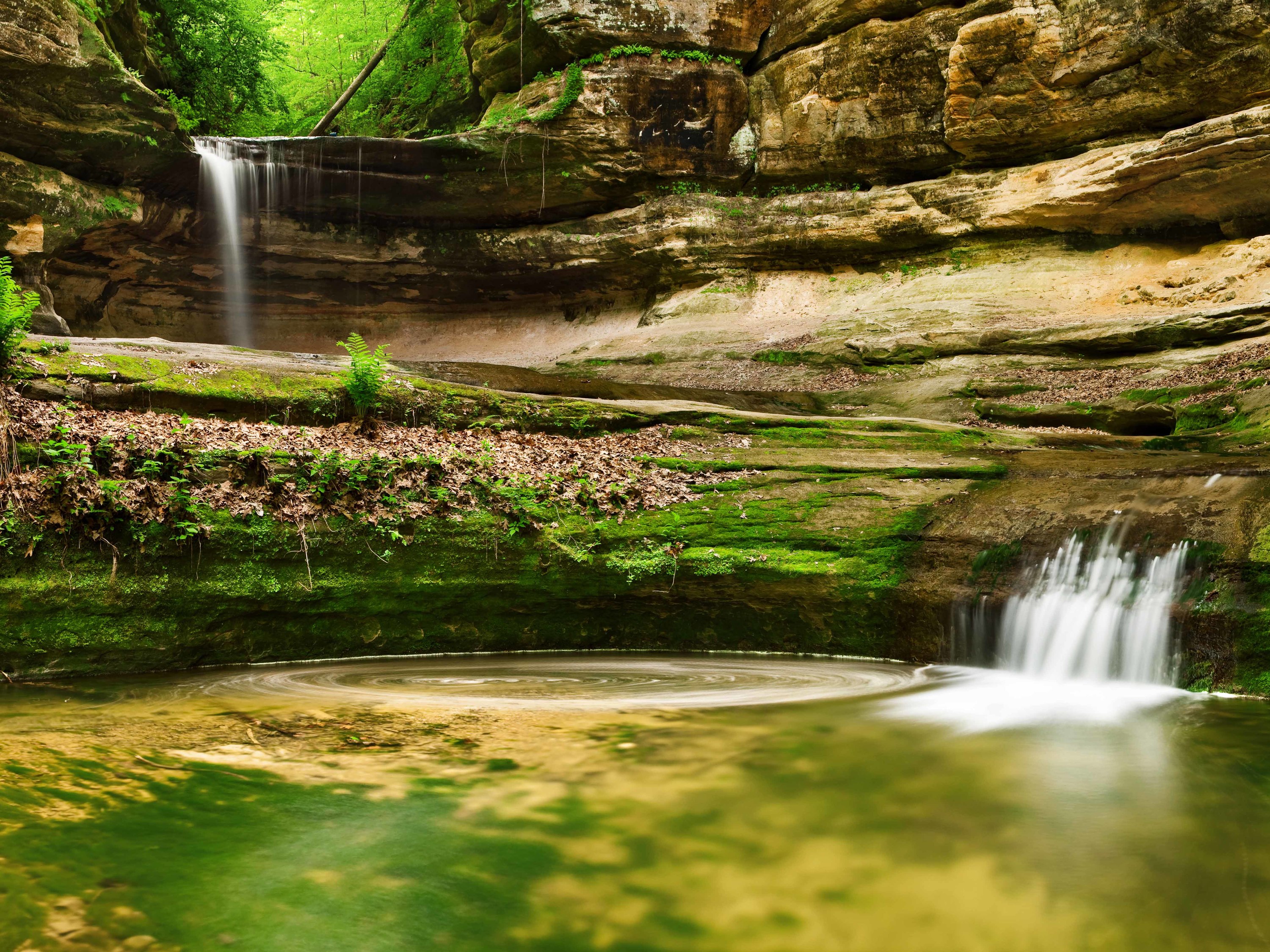 These 3 Illinois state parks were just named among the best (and most ...