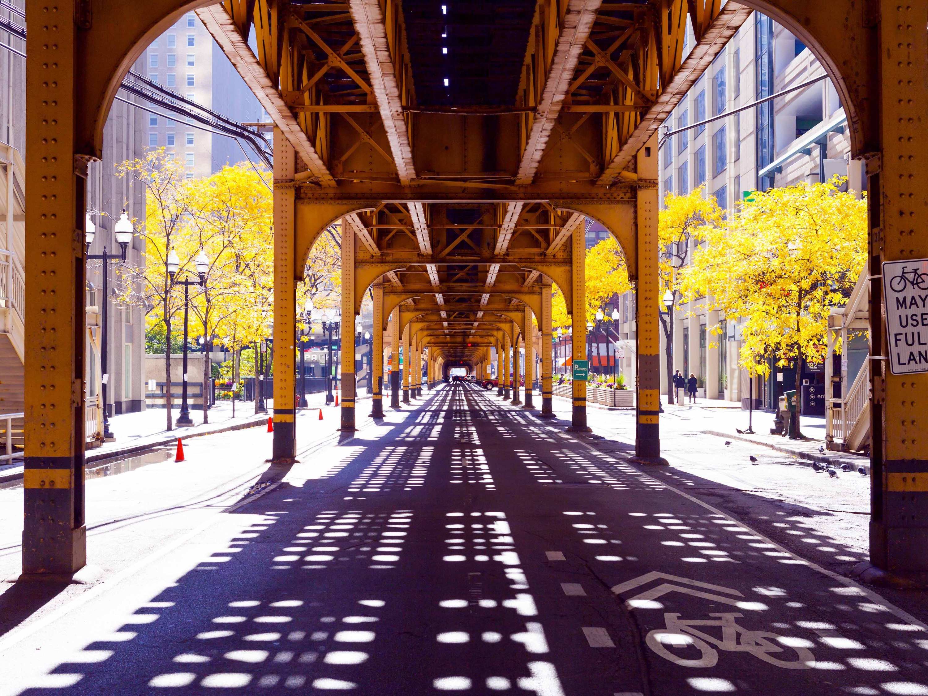 9 Most Scenic Drives in Chicago