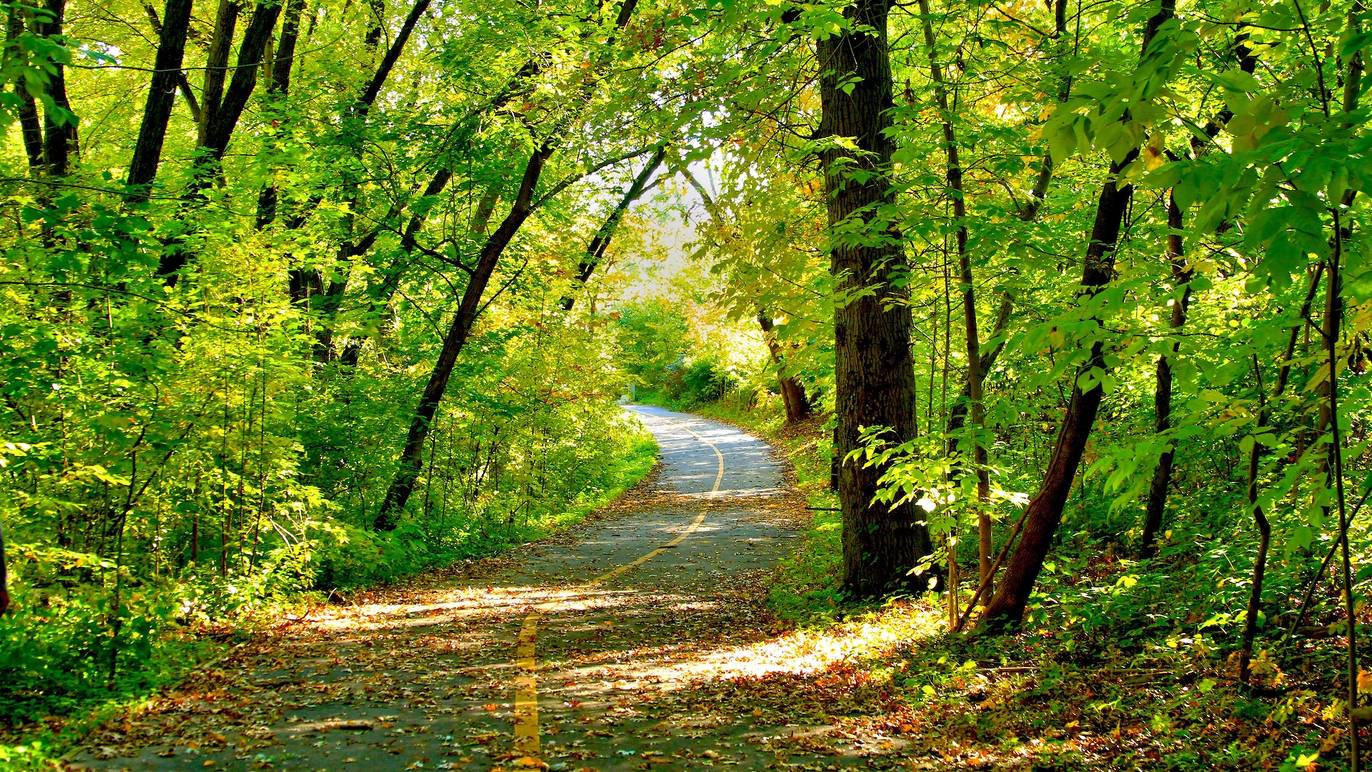 7 Best Hiking Trails for NYC Families