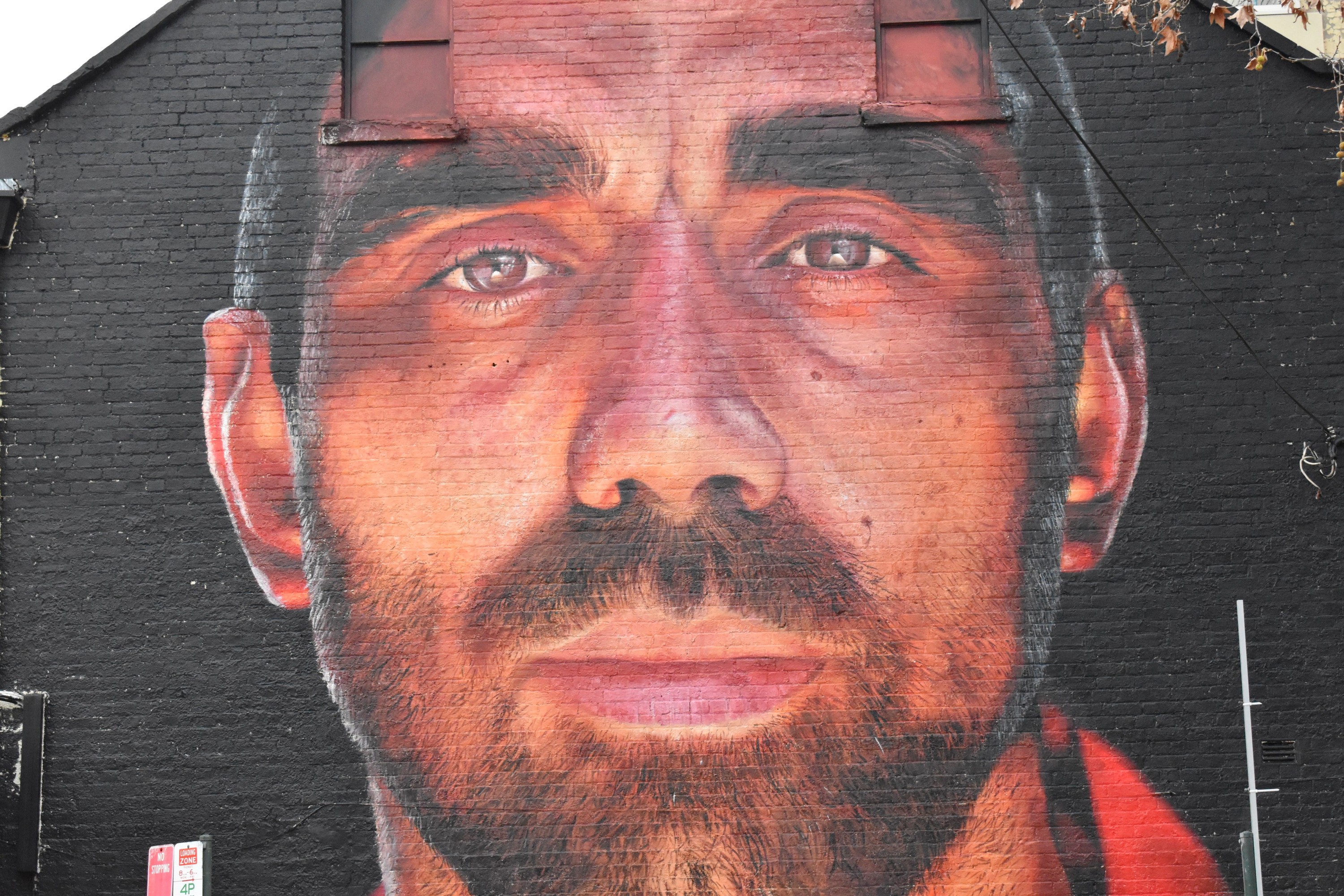 A stunningly detailed mural of AFL legend Adam Goodes has appeared in ...