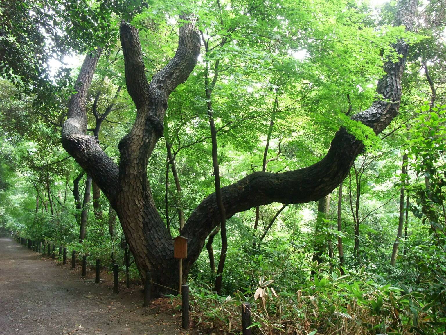 8 best nature escapes in and around Tokyo