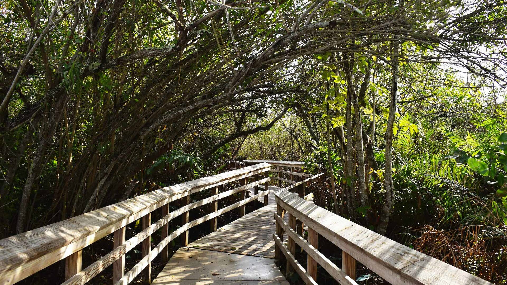 5 Best Trails and Paths for Hiking in Miami and Nearby