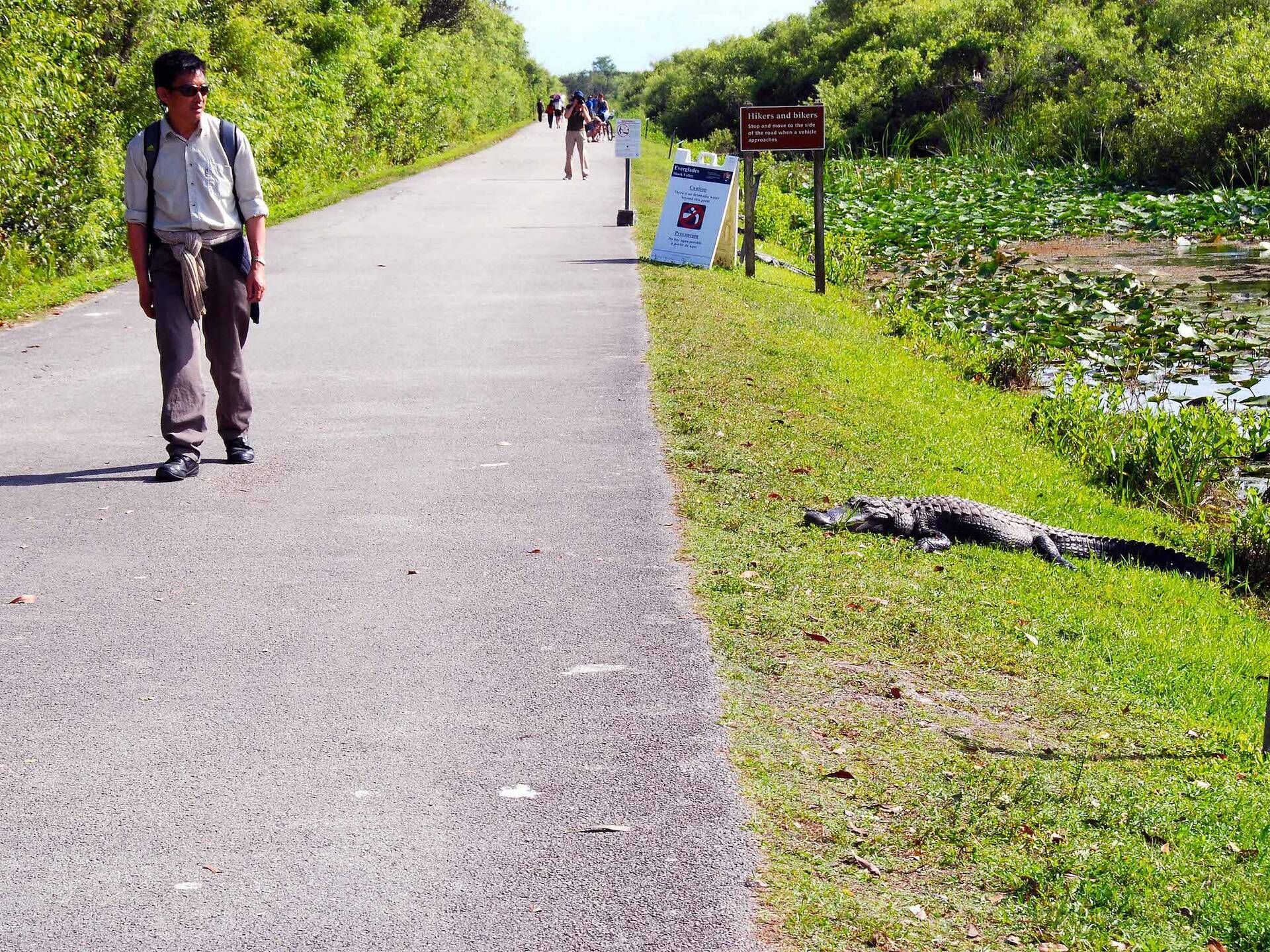 5 Best Trails and Paths for Hiking in Miami and Nearby
