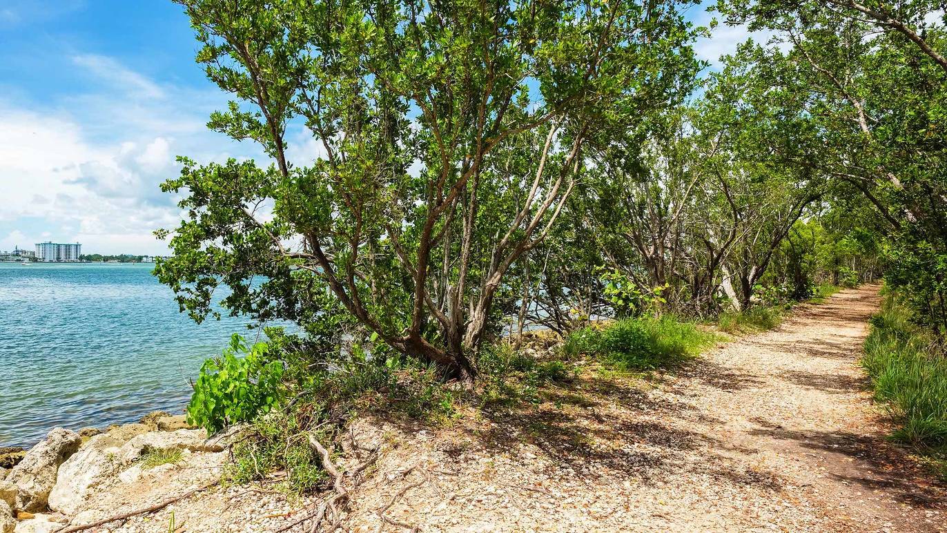9 Best Trails for Hiking in Miami, from Bayside Paths to Gator-Lined ...