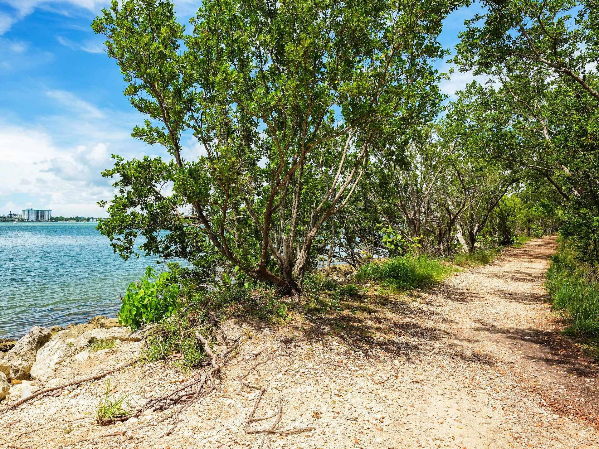 9 best places to go camping in and around Miami