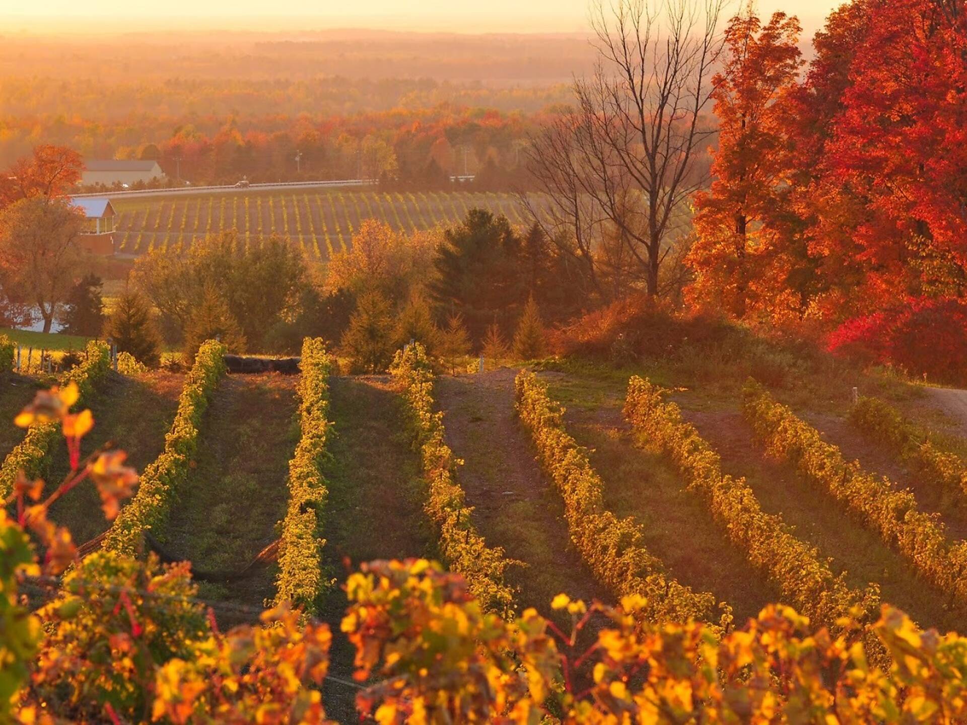 7 Best Scenic Drives from Montreal to Explore Every Landscape