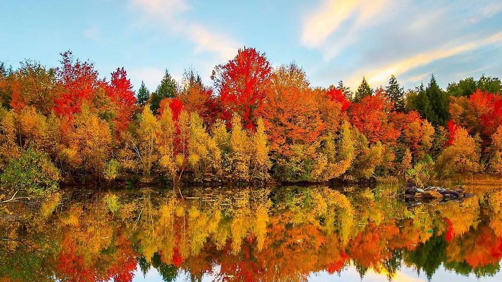 7 Best Scenic Drives from Montreal to Explore Every Landscape