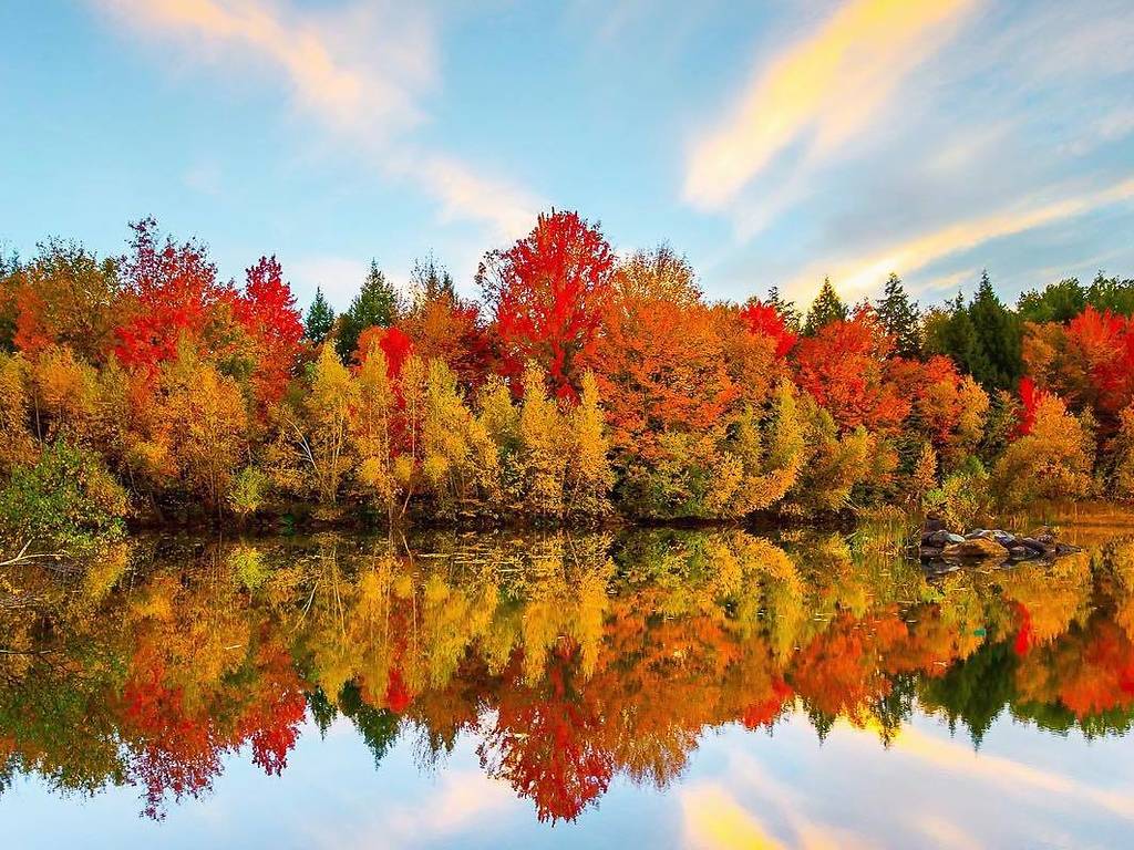 7 Best Scenic Drives from Montreal to Explore Every Landscape