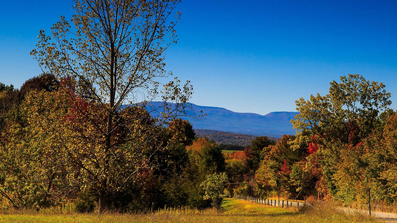 Where to See Best Fall Foliage in the USA For Beautiful Fall Colors
