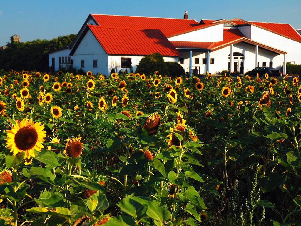 Picturesque Fall Getaways From NYC For Leaf Peeping