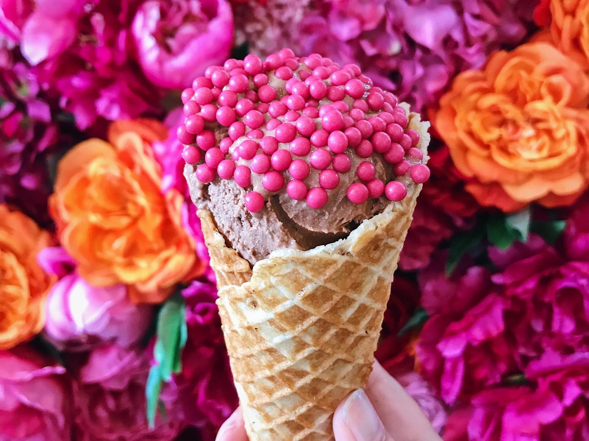 20 Best Malibu Restaurants and Bars for Oceanfront Eats